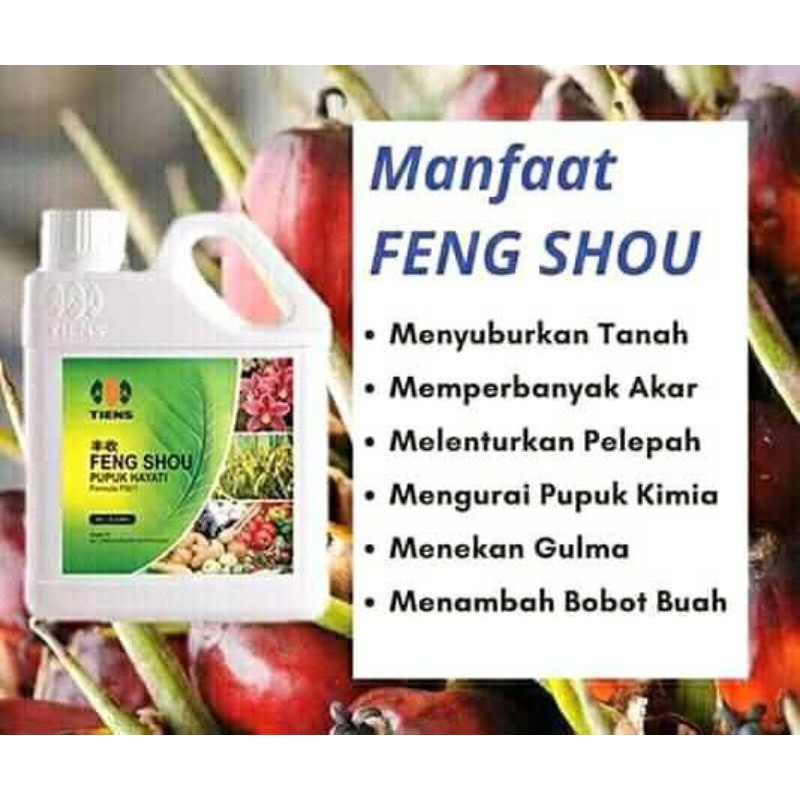 Jual Pupuk feng shou | pupuk tanaman | pupuk buah | pupuk tanah |pupuk ...