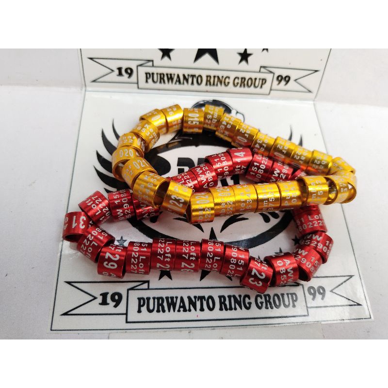 Jual RING GELANG CINCIN DARA MERPATI DEWASA AYAM SERAMA BEO KAKAK TUA ...