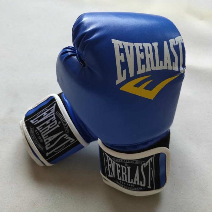 Jual Sarung Tangan Sarung Tinju Everlast Pro Training Boxing Gloves ...