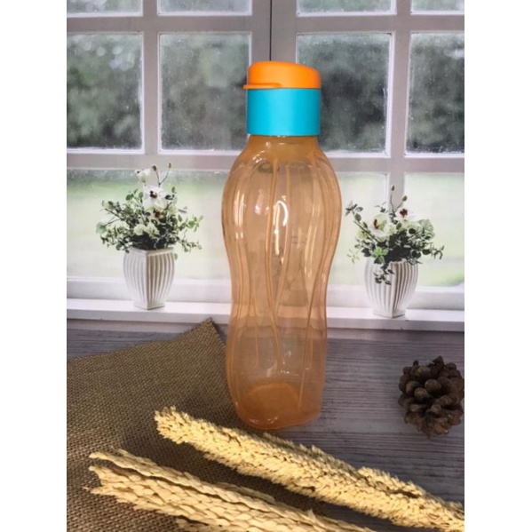 Jual Botol minum tupperware eco bottle flip flop 500 mL original 100% ...