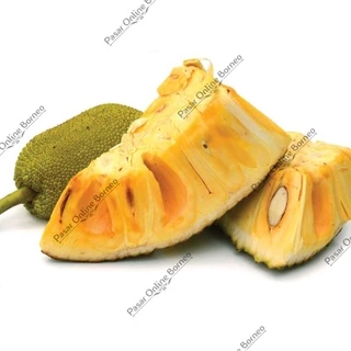 Jual Buah Nangka Terlengkap & Harga Terbaru Januari 2026 | Shopee Indonesia