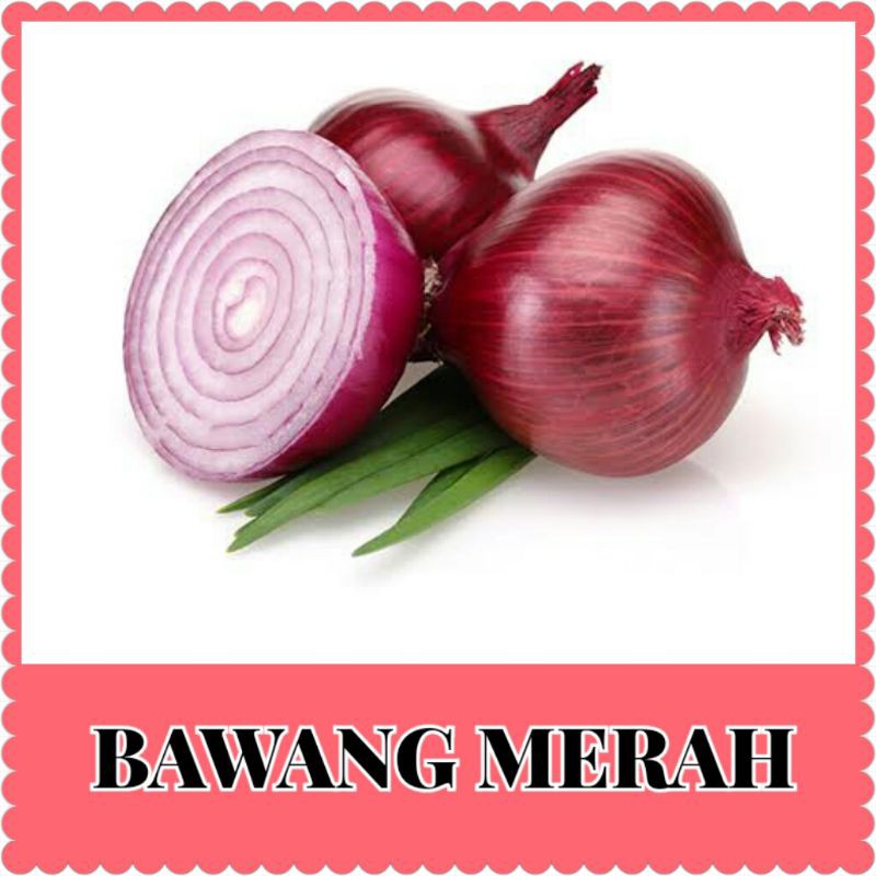 Jual benih bawang merah tuk tuk/bibit bawang merah | Shopee Indonesia