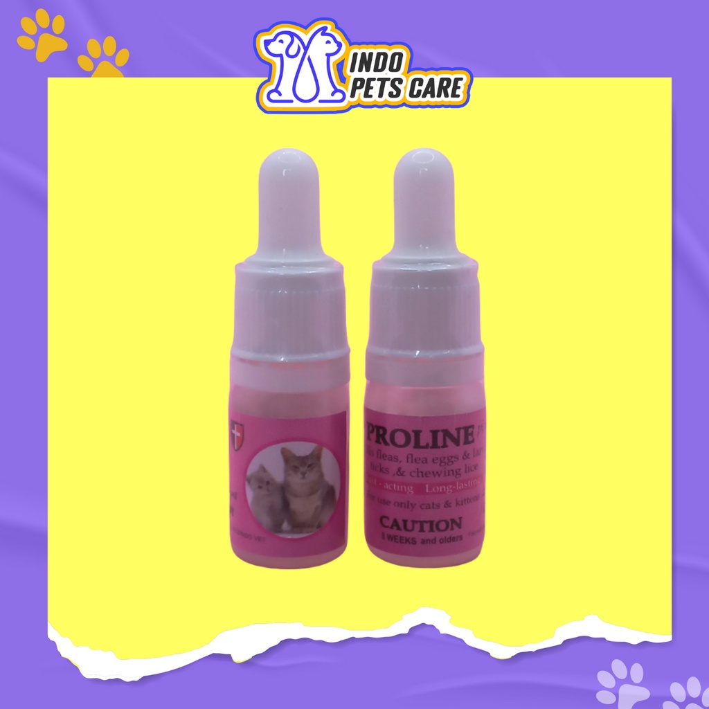 Jual OBAT KUTU KUCING - PROLINE CAT 2,5ML PEMBASMI TELUR LARVA CAPLAK ...
