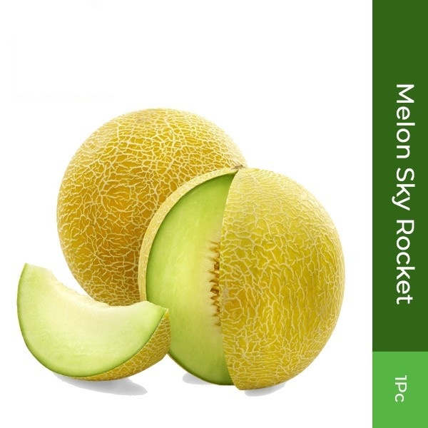 Jual Melon Sky Rocket 1Pcs | Shopee Indonesia