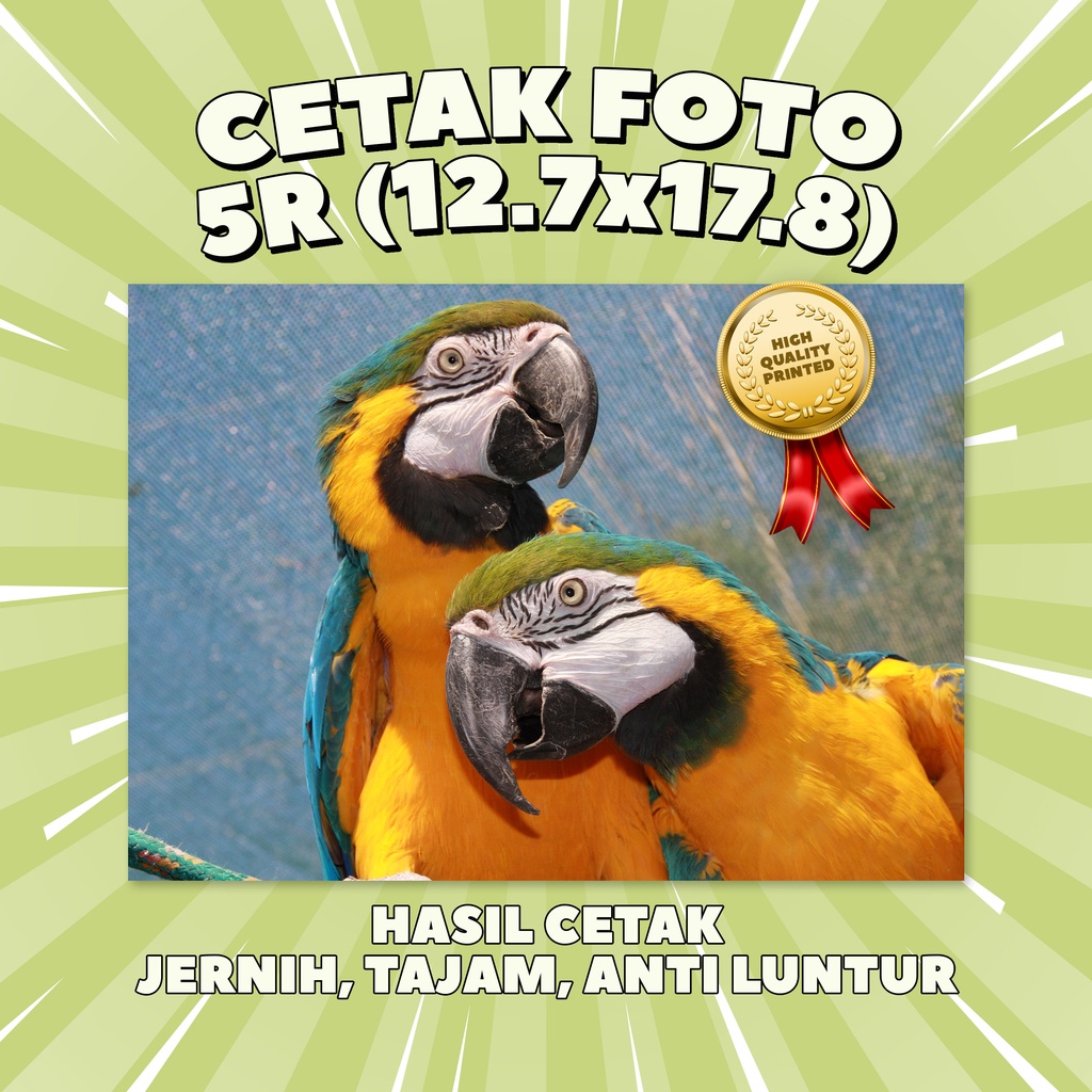 Jual Cetak Foto Ukuran 5R (12.7x17.8) High Resolution Printing - BISA COD | Shopee Indonesia