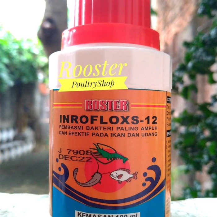 Jual Boster inrofloks inrofloxs 12 Antibiotik ikan 100 ml | Shopee ...