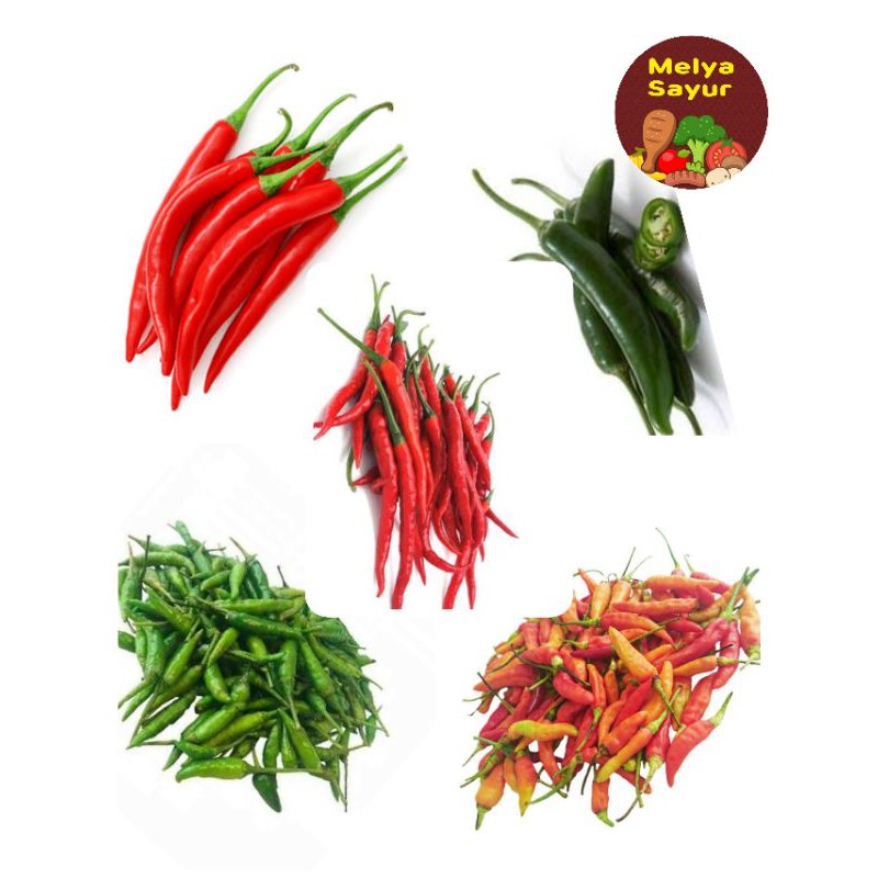Jual Cabe merah keriting / Cabe rawit ijo / Cabe rawit setan / cabe ijo ...