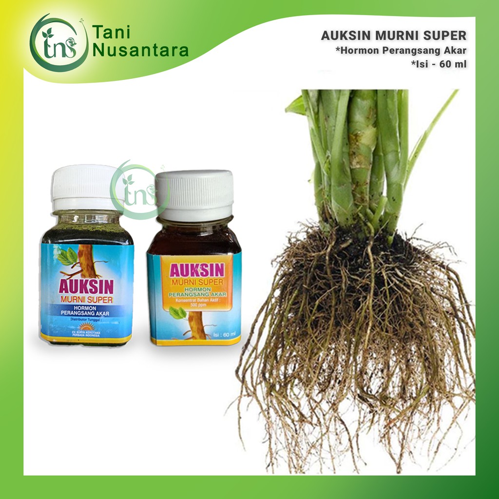 Jual Auksin Hormon Pertumbuhan Akar Tumbuhan Sayuran Bunga- Netto 60 ML ...