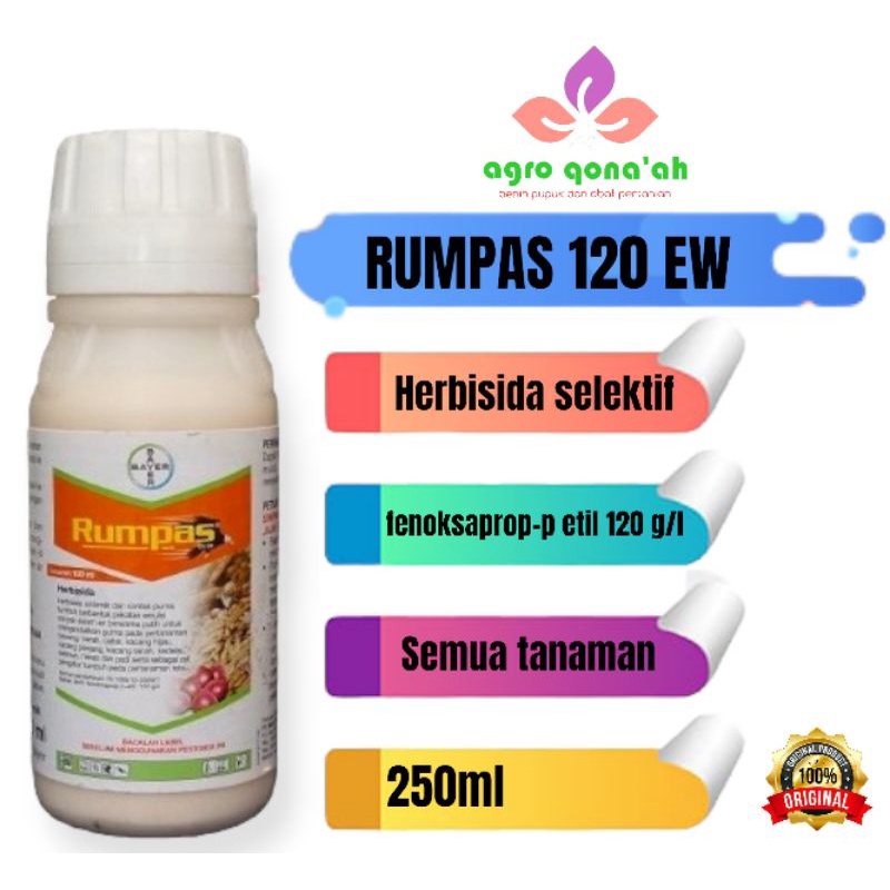 Jual Rumpas 250ml | Shopee Indonesia