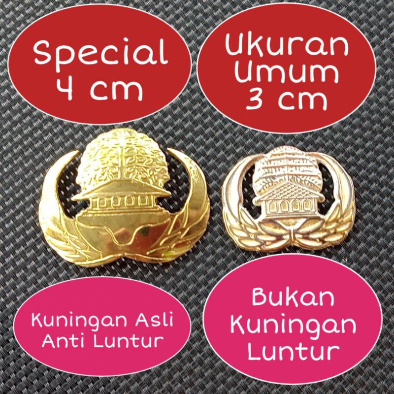 Jual Pin Korpri Ukuran Besar 4 cm | Shopee Indonesia