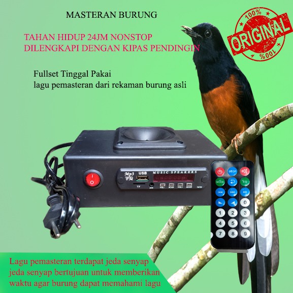 Jual Masteran Burung | Masteran Musik Mp3 | KINGMASTER (kualitas ...