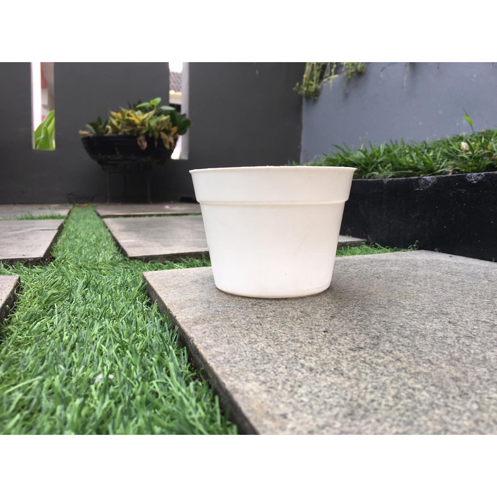 Jual Pot bunga Murah /Pot Tanaman / Pot Plastik PUTIH uk 10,15,17K,17B ...