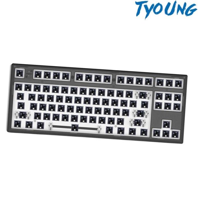 Jual CC TYOUNG KEYBOARD GAMING MEKANIKAL 87 TOMBOL DENGAN BACKLIGHT RGB ...