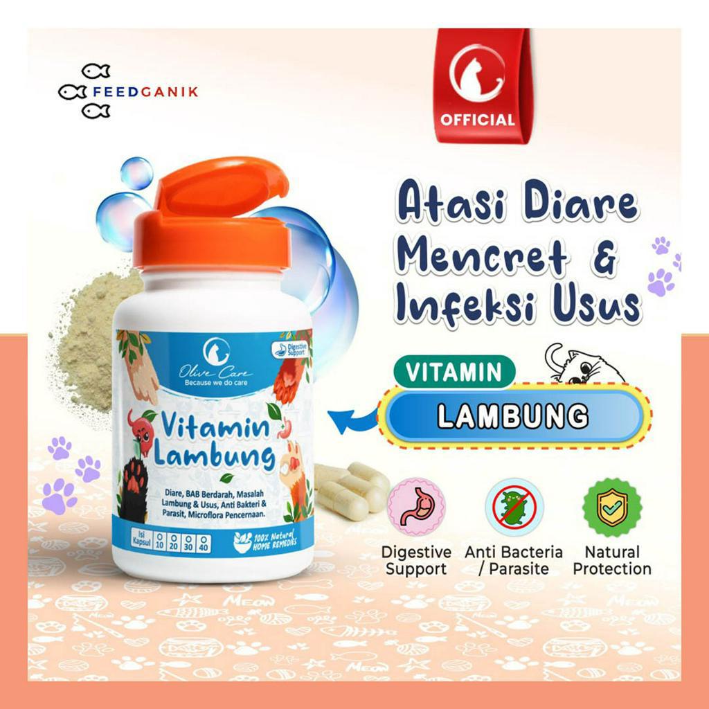 Jual OLIVE CARE Vitamin Kucing LAMBUNG ( Harga per kapsul ) | Atasi ... Jual OLIVE CARE Vitamin Kucing LAMBUNG ( Harga per kapsul ) | Atasi ...