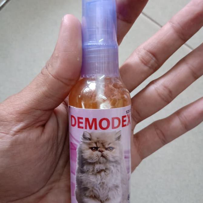 Jual Terlengkap-Store Demodex Spray Cat - Obat Scabies Kucing Anti Kutu ...
