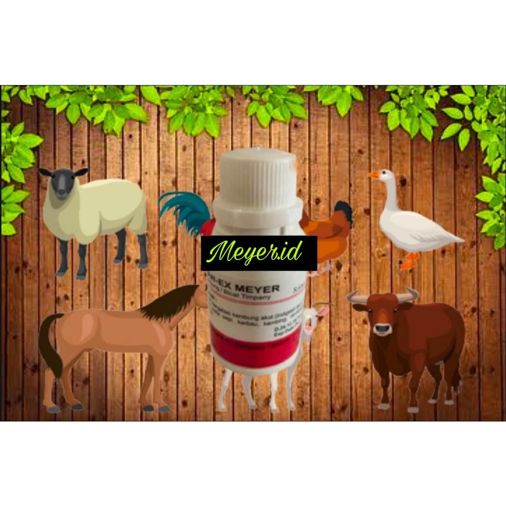 Jual Tympan Ex Meyer 30 & 100ML - Obat kembung/ Bloat hewan | Shopee ...