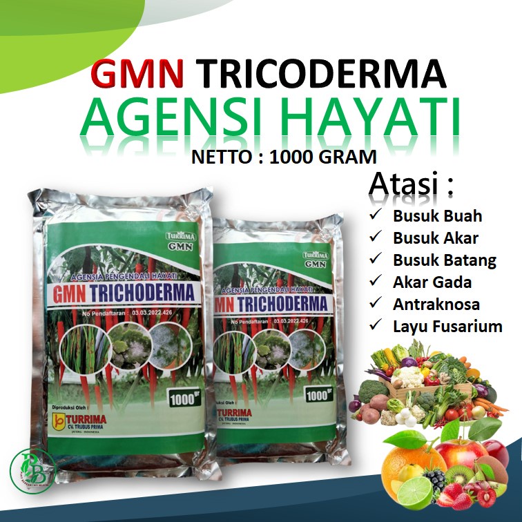 Jual Pupuk Hayati Trichoderma Padat, Fungisida Hayati Pembasmi Busuk ...