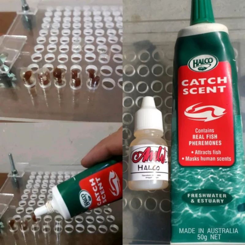 Jual 5pcs Halco Kapsul Air Tawar 1x Pakai Kemasan instan Ori Made In Australia | Shopee Indonesia