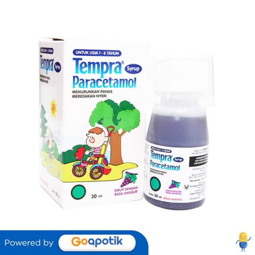 Jual Tempra Rasa Anggur Sirup 30 Ml | Shopee Indonesia