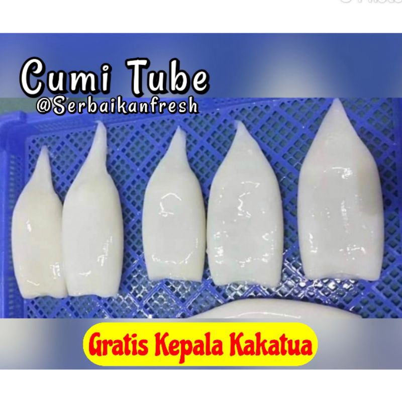 Jual CUMI TUB BEKU FRESH 1KG (SIP) | Shopee Indonesia