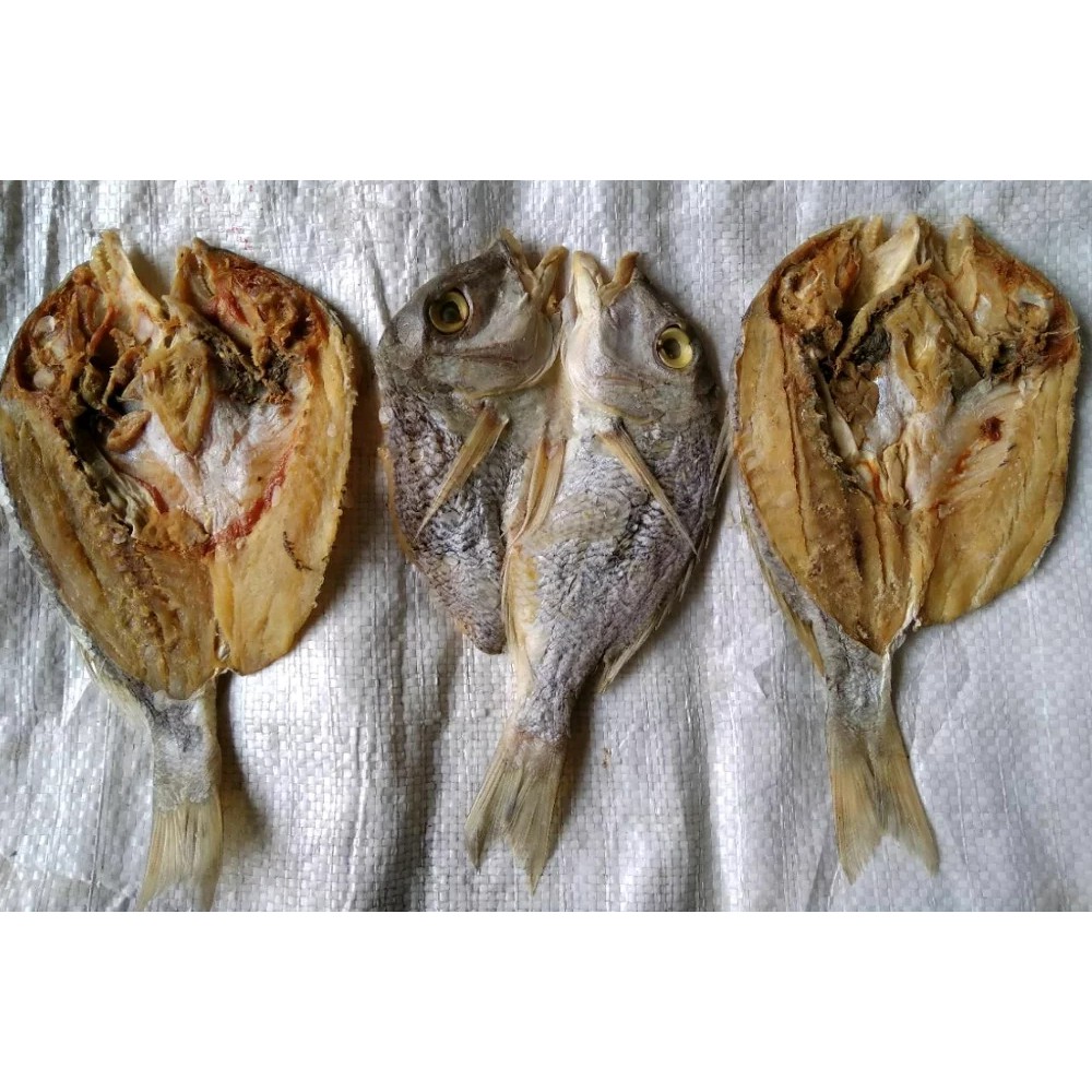 Jual Ikan Kering Katamba Khas Makassar 500 Gram Berbagai Ukuran ...