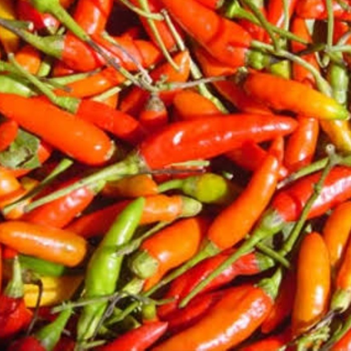 Jual lombok cabe rawit merah belum petik pasar online makassar | Shopee ...