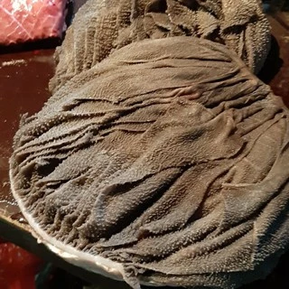 Jual Babat Sapi Terlengkap & Harga Terbaru Juni 2024 | Shopee Indonesia