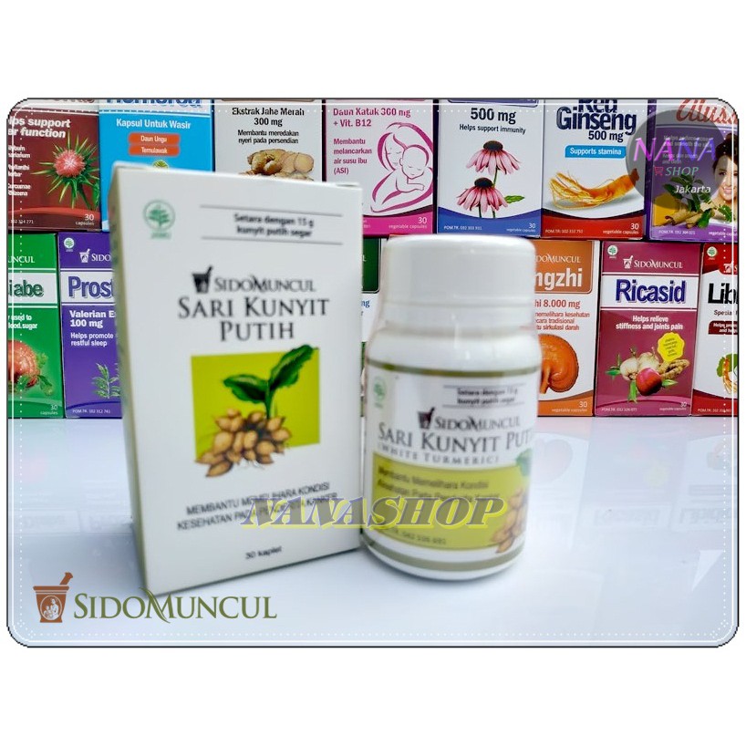 Jual Kunyit Putih Sidomuncul | Daya Tahan Tubuh | Anti Tumor Kanker ...