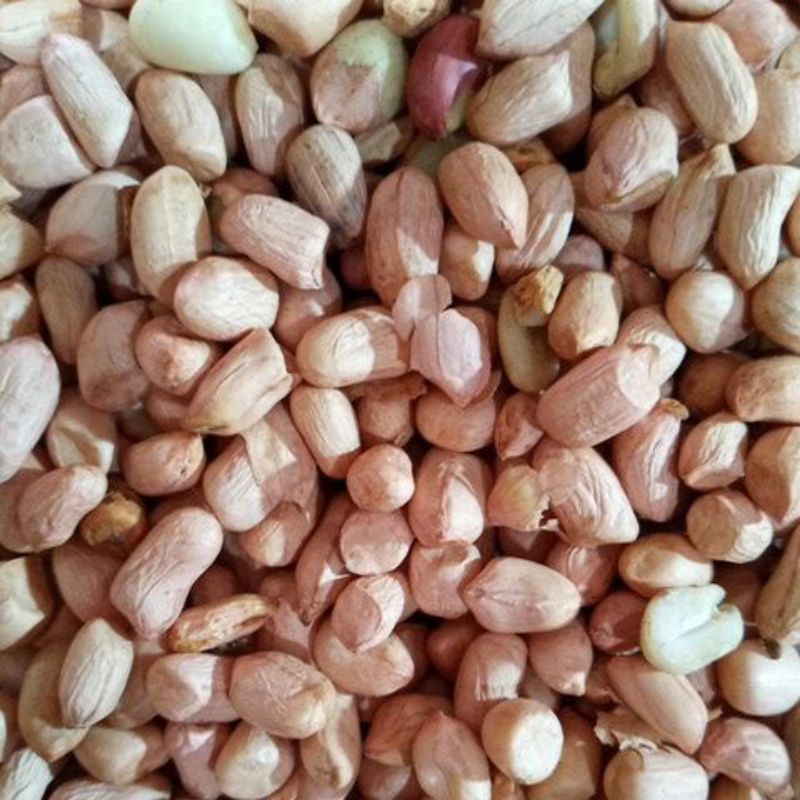 Jual Kacang tanah india/sudan 1 kg | Shopee Indonesia