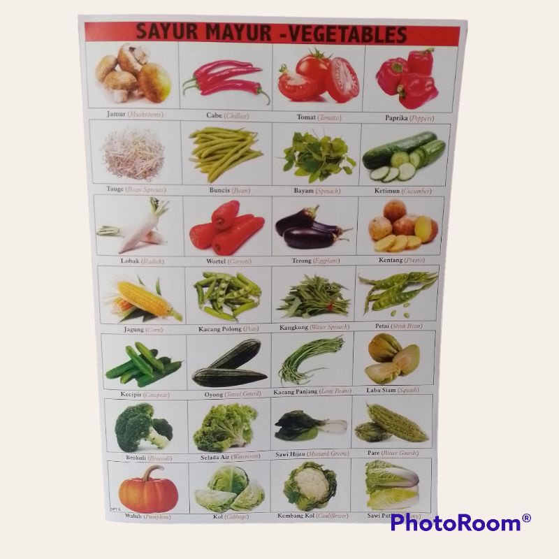 Jual Poster Sayur Mayur - Vegetables | Shopee Indonesia