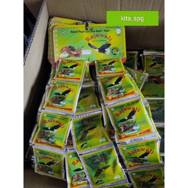 Jual rajawali (kapsul herbal) | Shopee Indonesia