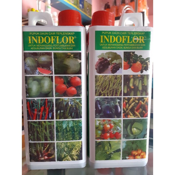 Jual INDOFLOR PUPUK DAUN CAIR TERLENGKAP PUPUK PERTUMBUHAN DAN ...