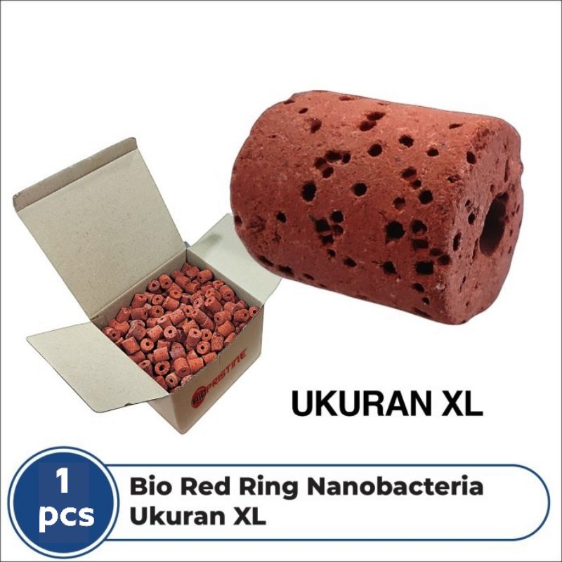 Jual BIO RING UKURAN XL RED RING BERPORI MEDIA FILTER RUMAH BAKTERI - 1 ...