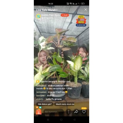 Jual LIVE STREAMING PAKET BIG ROY ALBO DLL ( bamspri87 ) | Shopee Indonesia