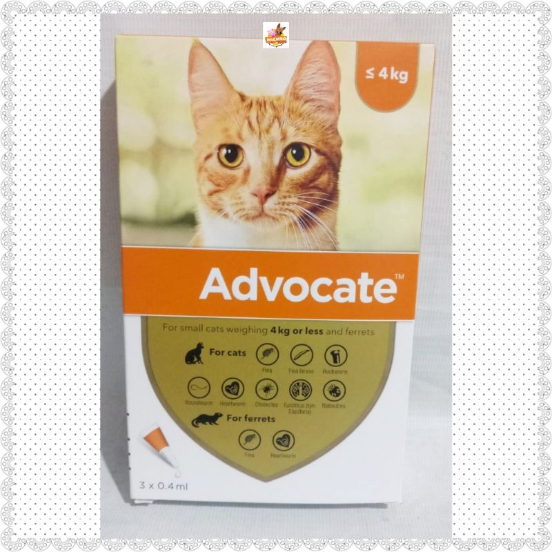 Jual Advocate Cat S (1kg - 4kg) 0,4ml / Harga per 1 pcs / Obat Tetes ...