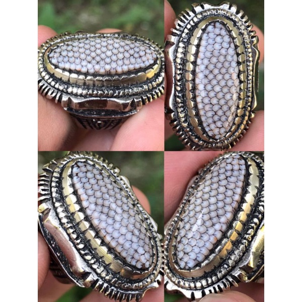 Jual FOSIL JHIPEN SNAKE SCALE SISIK ULAR MADURA FULL SISIK RAPI BIG ...