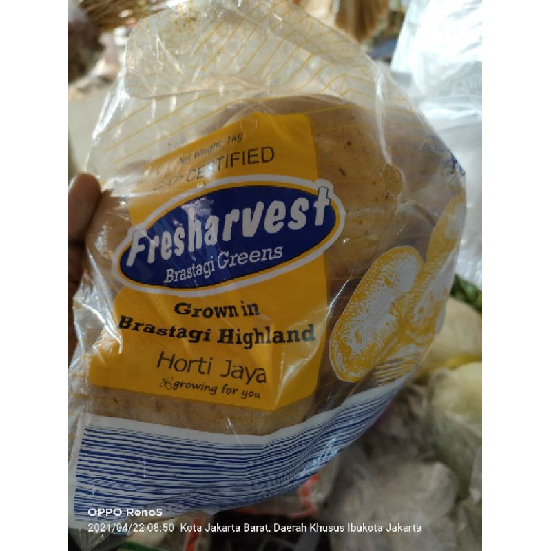 Jual kentang Brastagi (kg) | Shopee Indonesia