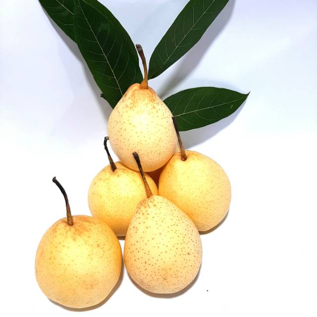 Jual Pear yalie | Shopee Indonesia