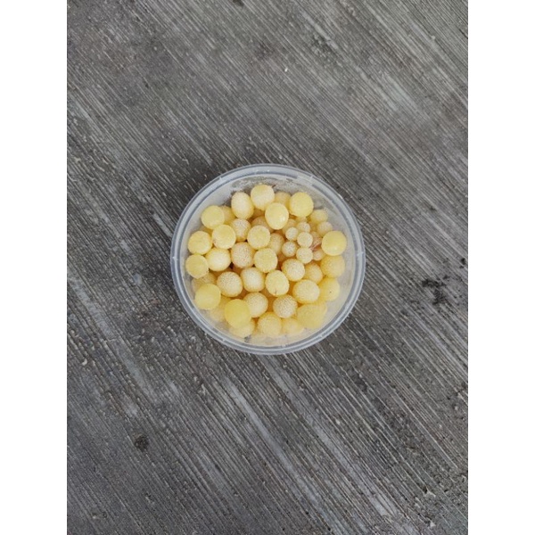 Jual Telur Ikan Manyung 1 kg | Shopee Indonesia