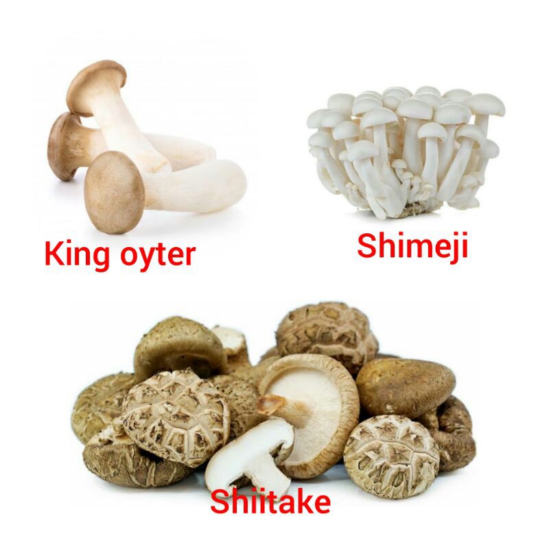 Jual Jamur Shiitake,Shimeji dan King oyster | Shopee Indonesia
