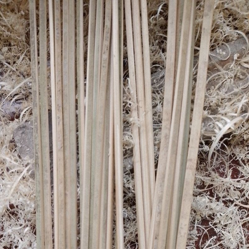 Jual Bambu / awi Tamiang Bakalan uk 54 (50pcs) | Shopee Indonesia