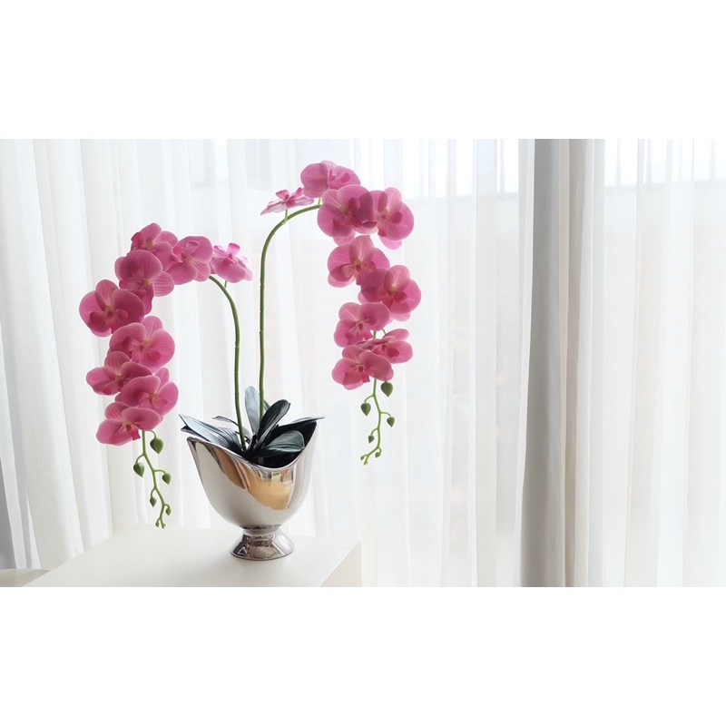 Jual Full Set Vas Bunga Vienna S & Anggrek Latex Premium | Shopee Indonesia