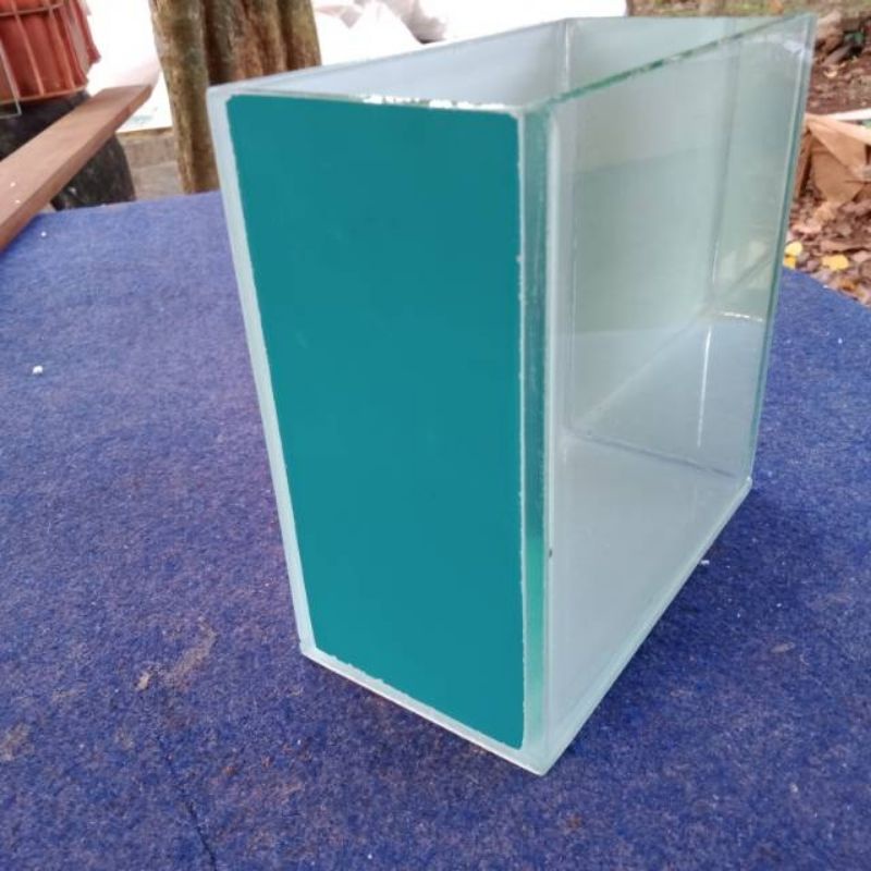 Jual Soliter ikan cupang selfi/soliter background putih dan alas putih ...