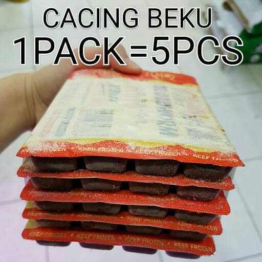 Jual (GOJEK) CACING BEKU 5PCS BIG BOSS / MAKANAN FROZEN BLOODWORM ...