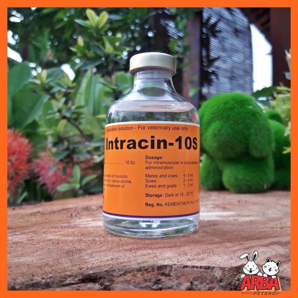 Jual INTRACIN 10S (Oxytocin 10) Hormon Perangsang Kontraksi Uterus Kelenjar Susu Hewan KELINCI ...