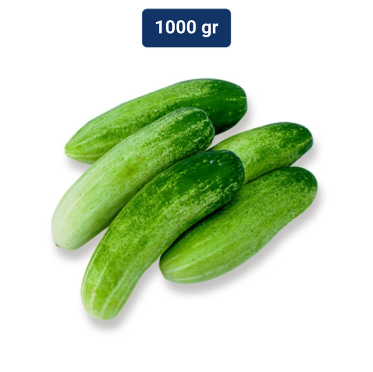 Jual Timun Lokal 1 Kg | Shopee Indonesia