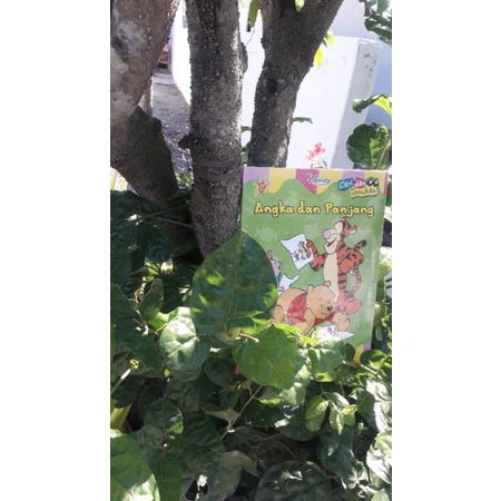 Jual buku anak disney angka dan panjang | Shopee Indonesia