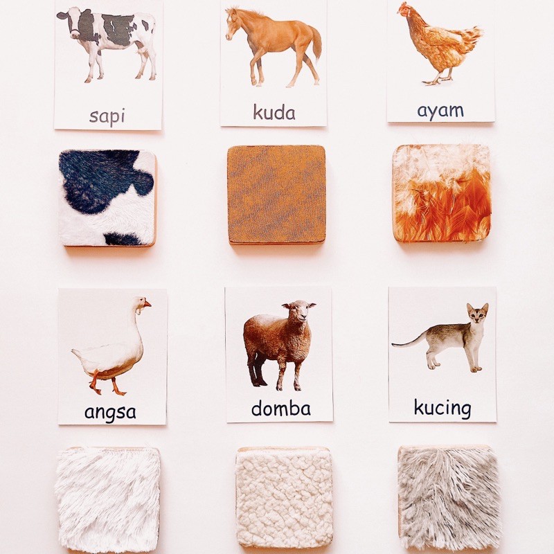 Jual FARM Animal Skin Montessori Matching Pad with Wooden Tray | Shopee ...