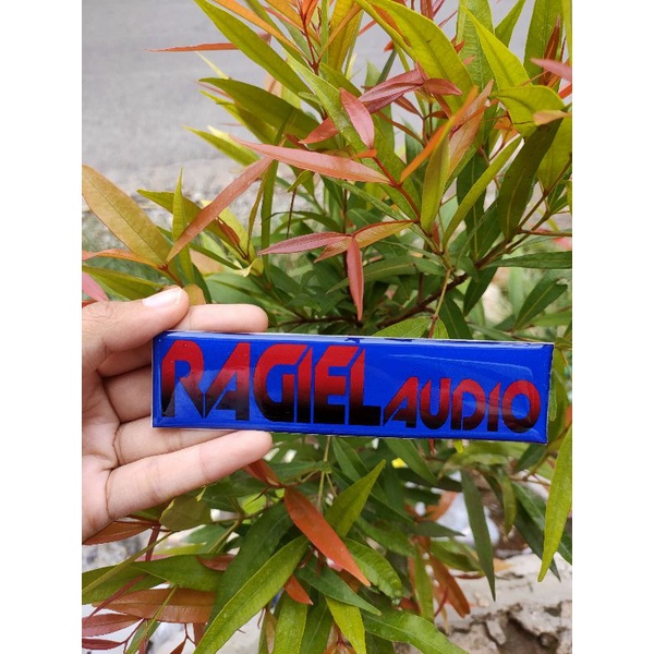 Jual EMBLEM NAMA DAN LOGO SOUND SYSTEM CUSTOM TIMBUL 3D | Shopee Indonesia