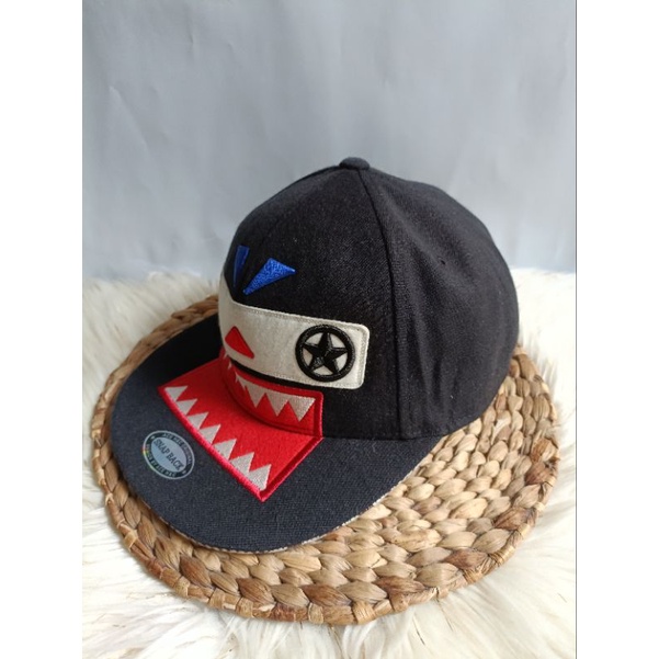 Jual Topi Karakter ACE H&C N'cer Dewasa | Shopee Indonesia